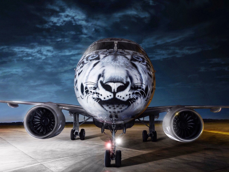 10 One-of-a-Kind Aircraft Liveries