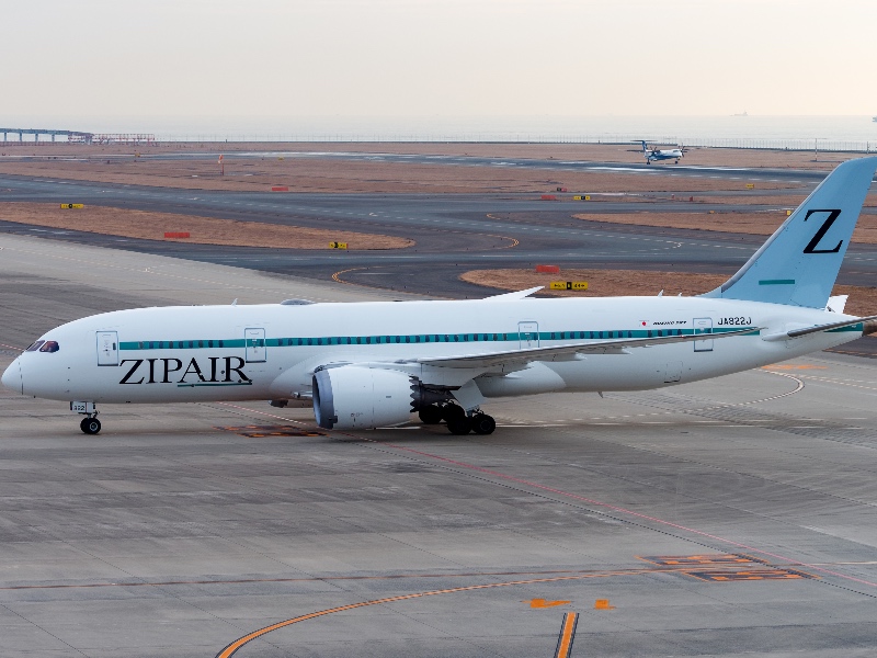 10 One-of-a-Kind Aircraft Liveries