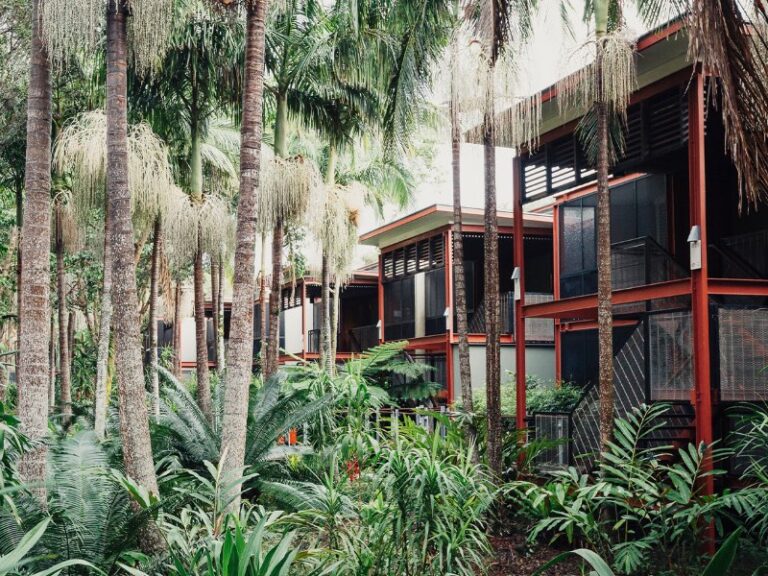 St.George Amplify Qantas Signature Card