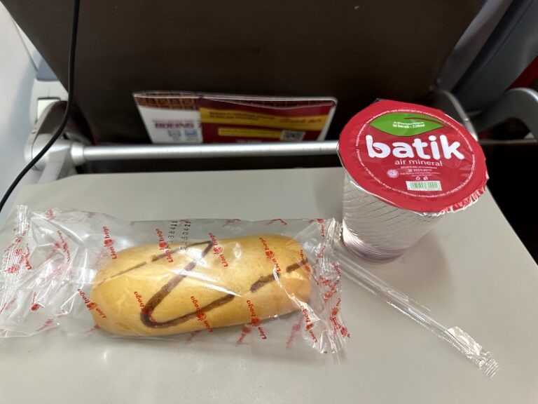 Batik Air Indonesia Boeing 737 Economy Class Review