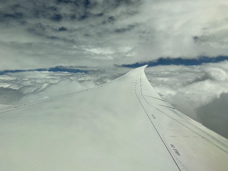 Qantas 787 Premium Economy Review (QF27 SYD-SCL)