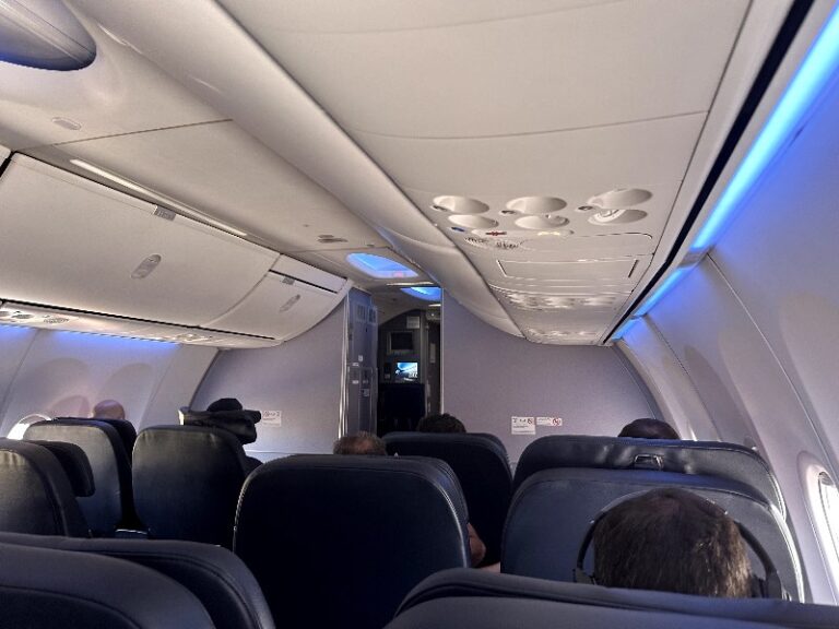 Copa Airlines 737-800 Business Class Review