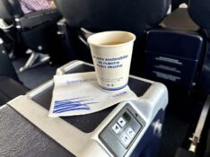 Copa Airlines 737-800 Business Class Review