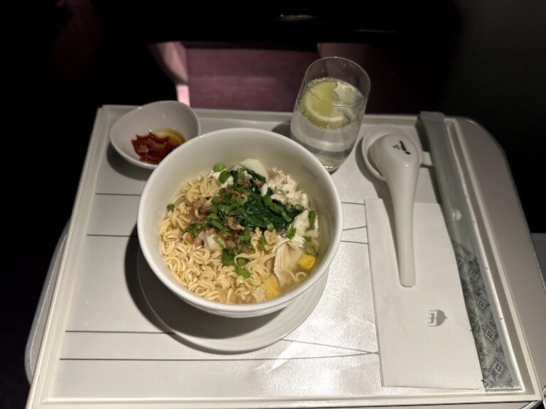 Malaysia Airlines A330-300 Business Class Review