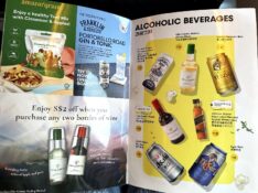 ScootPlus Review: Seoul-Singapore on a Boeing 787