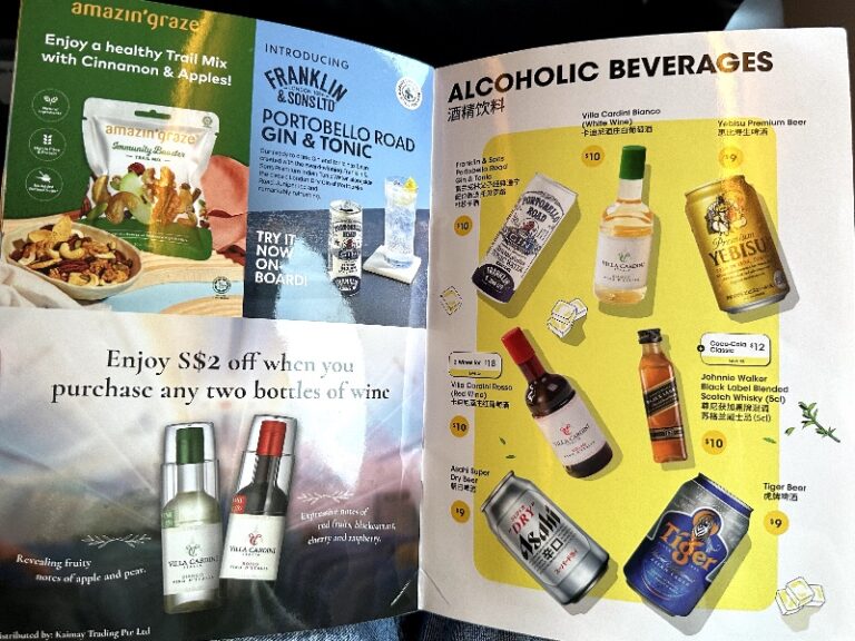 ScootPlus Review: Seoul-Singapore on a Boeing 787