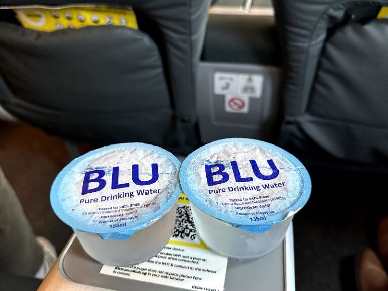 ScootPlus Review: Seoul-Singapore on a Boeing 787